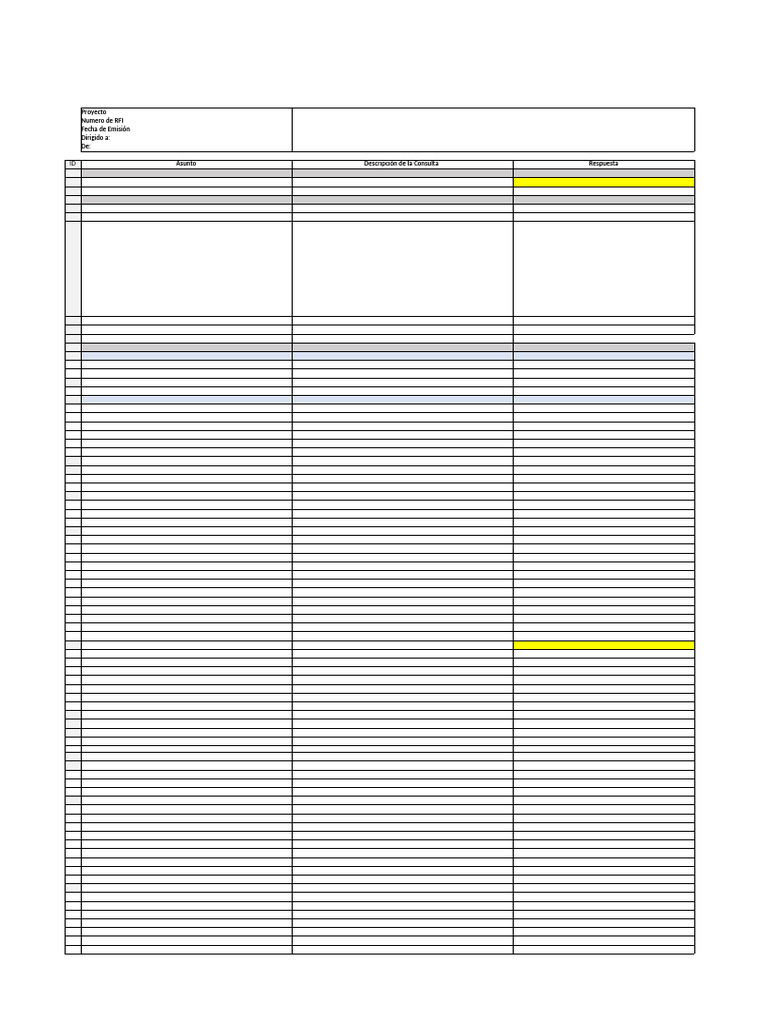 Formato de Documento RFI | PDF