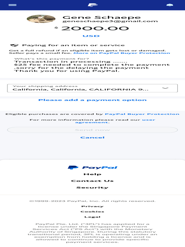 PayPal Make A Payment Preview 16 | PDF