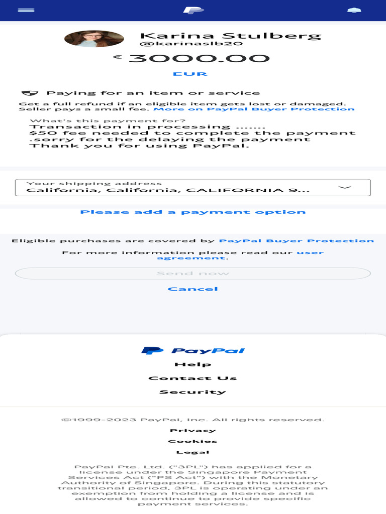 PayPal Make A Payment Preview | PDF