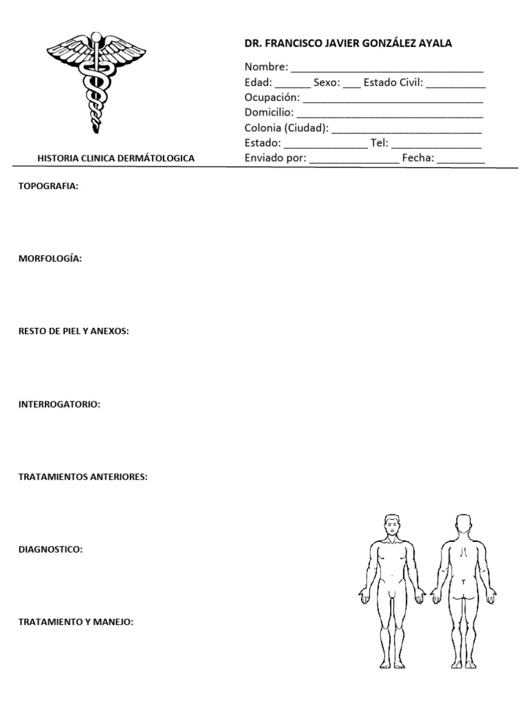 Formato de Consultas | PDF