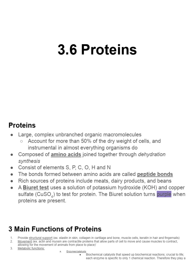 3.6 Proteins | PDF | Protein Structure | Proteins
