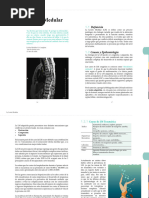 Guía Integral para Lesión Medular | PDF | Lesión de la médula espinal | Dolor