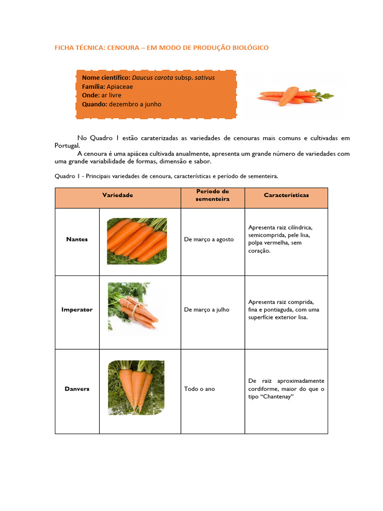 Ficha Tenica Cenoura | PDF | Solo | Raiz