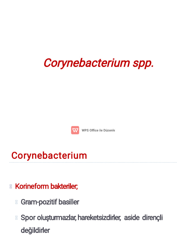 Corynebacterium 29 | PDF