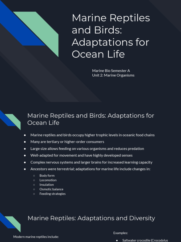 Marine Reptiles and Birds: Adaptations | PDF | Seabird | Reptile