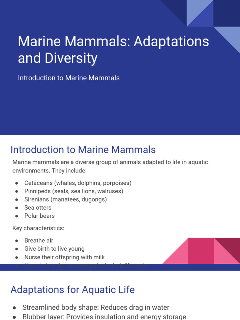 Marine Mammals - Adaptations and Diversity | PDF | Marine Mammals ...
