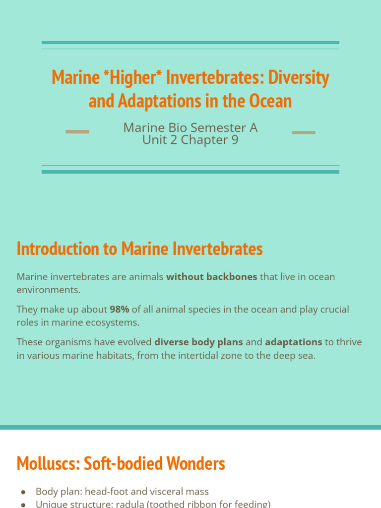 Marine Invertebrates: Diversity & Adaptations | PDF | Mollusca | Nematode