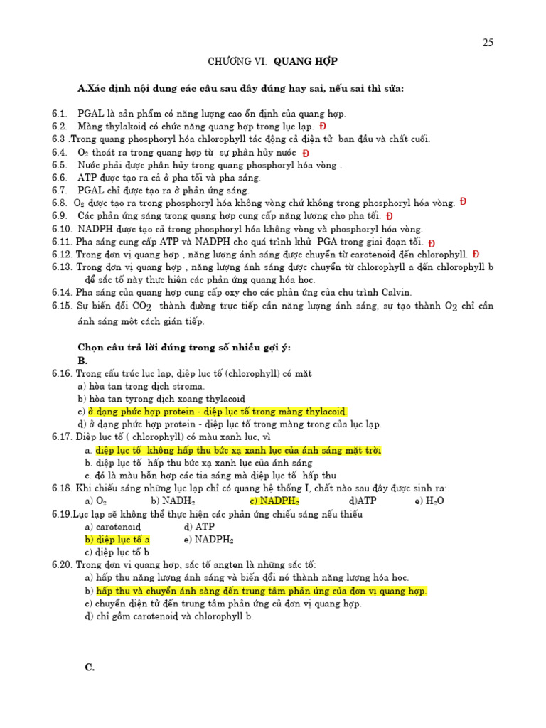 De Sinh Dc Quang Hop | PDF