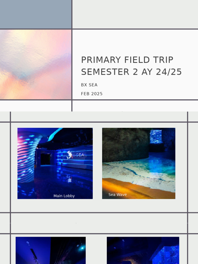 Primary Field Trip | PDF