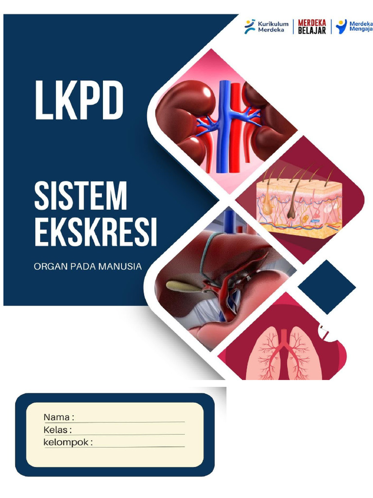 LKPD Sistem Ekskresi | PDF