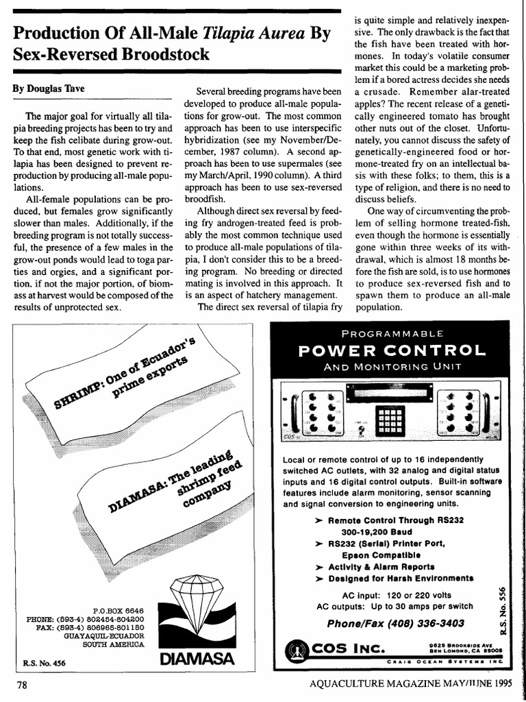 Production of All Male Tilapia Aurea | PDF