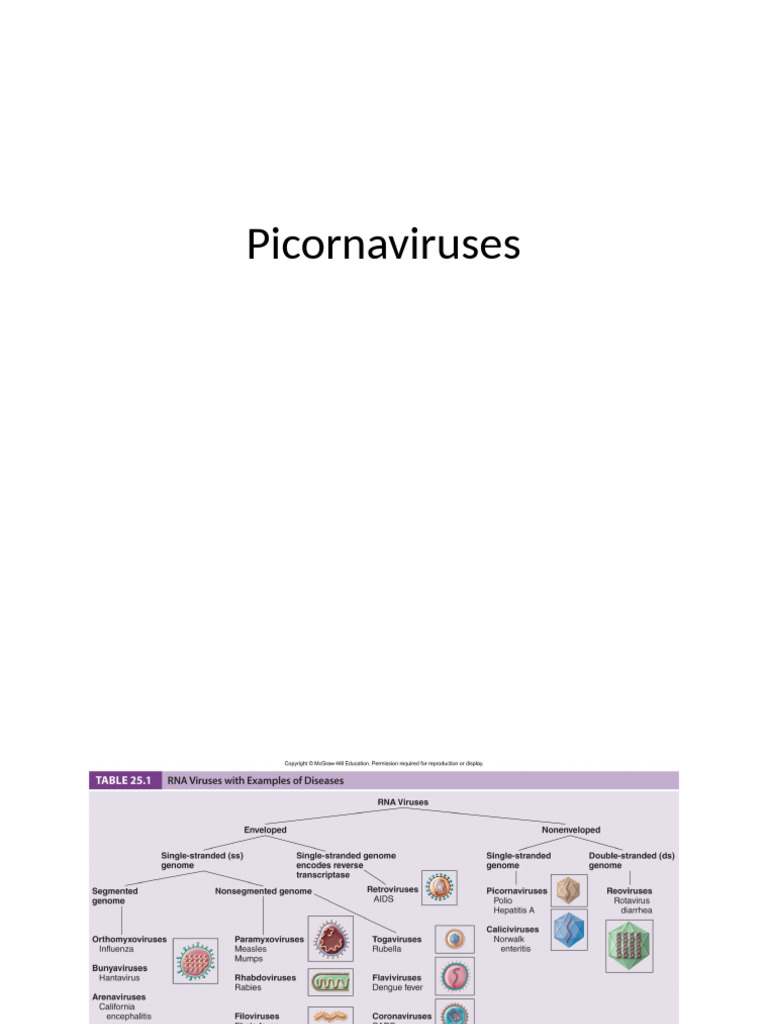 Picornaviruses | PDF | Clinical Medicine | Medical Specialties