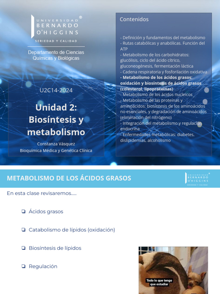 U2C14-2024 BqGen Metab Lipid | PDF | Metabolismo | Trifosfato de adenosina