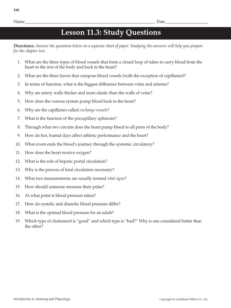 ch11 Workbook Heart Copy Dragged | PDF