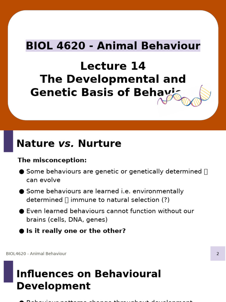 BIOL4620 - Lecture 14 - Developmental and Genetic Basis of Behaviour ...
