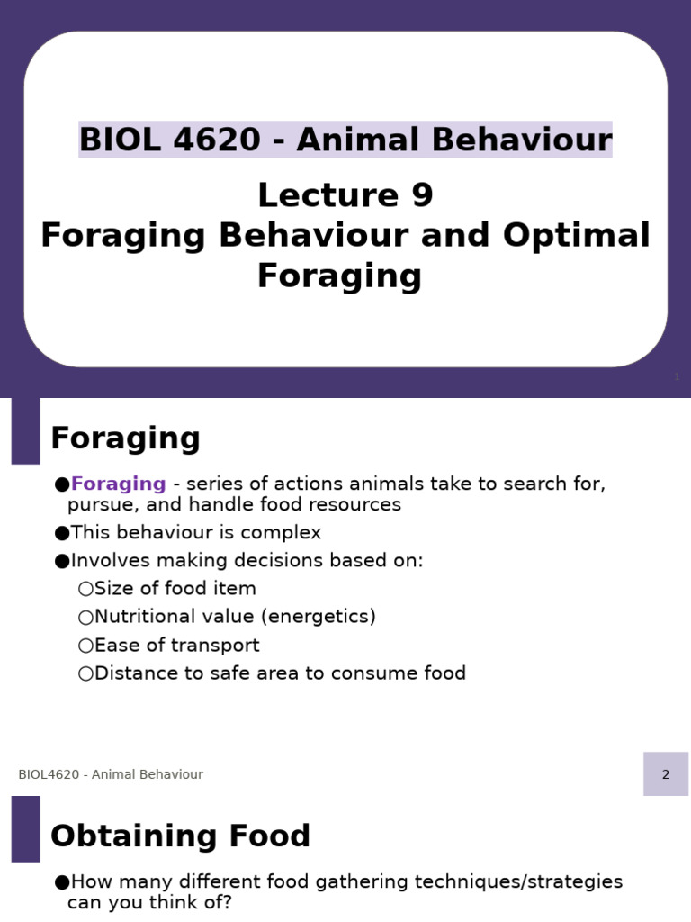 BIOL4620 - Lecture 9 - Foraging Behaviour and Optimal Foraging | PDF ...