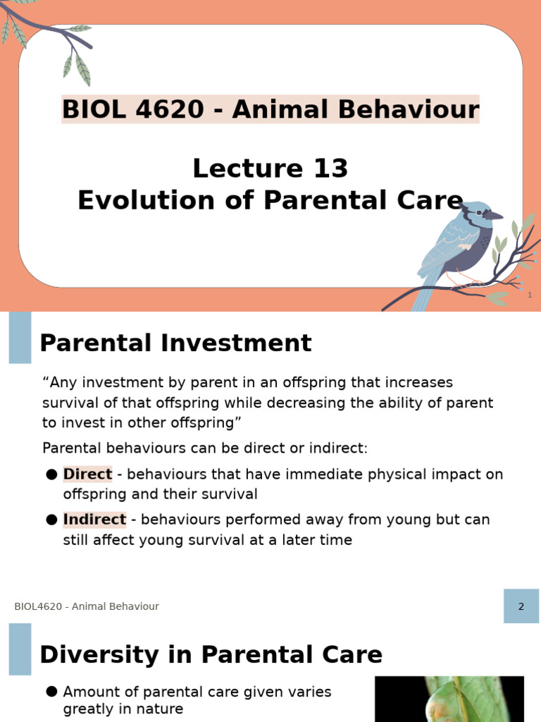 Evolution of Parental Care in Animals | PDF | Biological Evolution ...