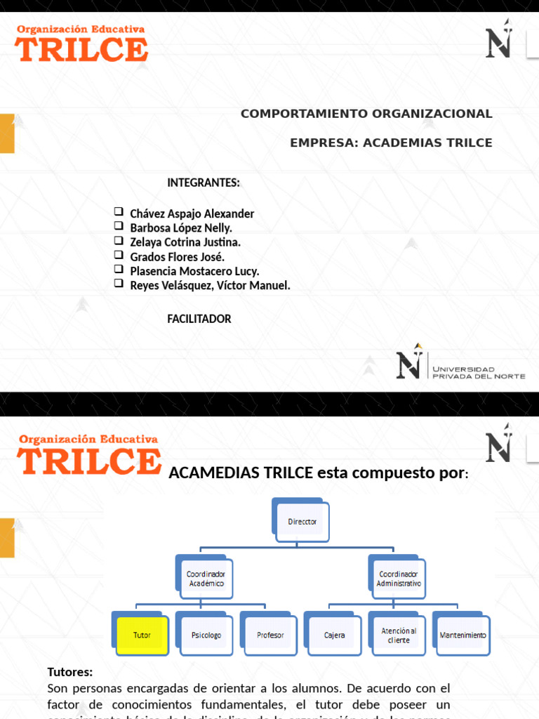 PPTS COMP ORGA | PDF