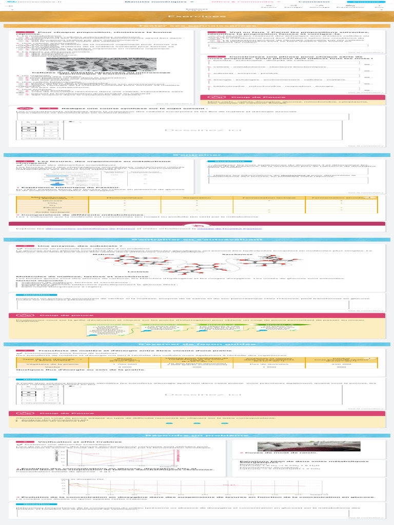 Exercices Lelivrescolaire.fr | PDF | Levure | Métabolisme