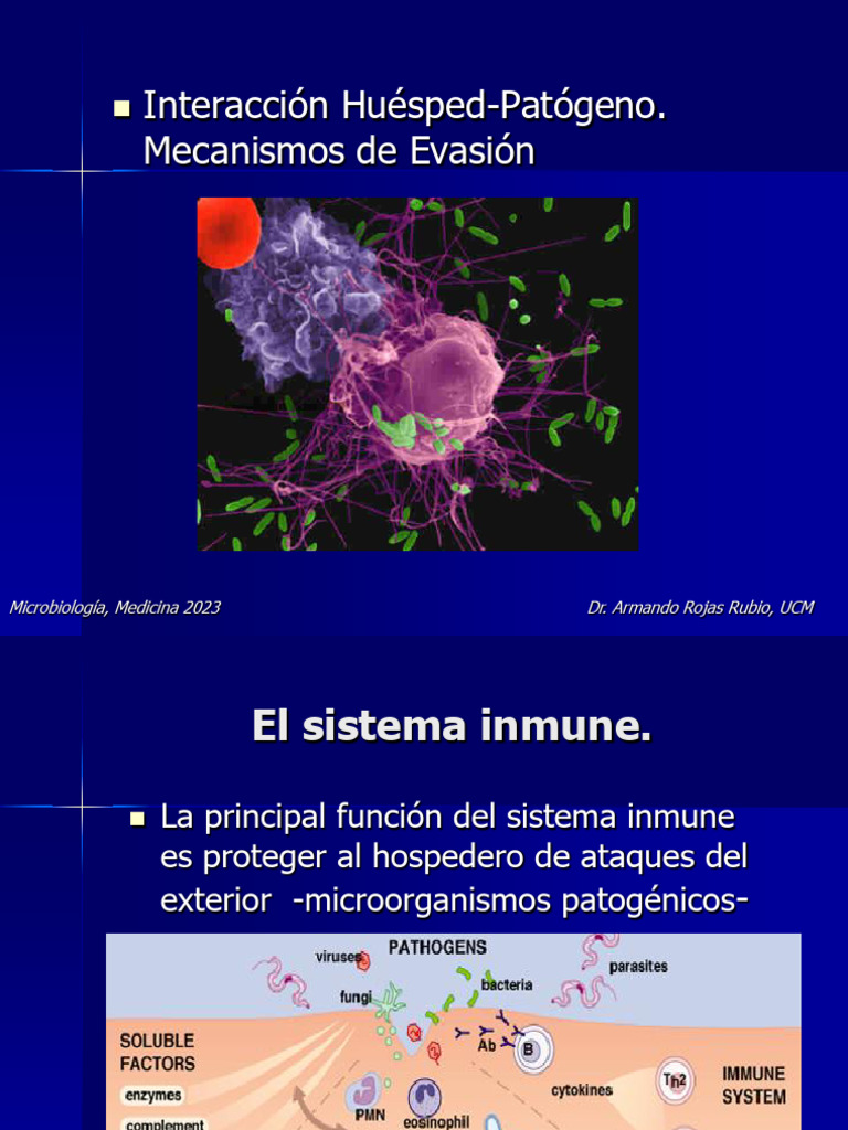 Clase 4 Respuesta Inmune a La Infeccion. Mecanismos de Evasion 2023 | PDF | Sistema inmune ...