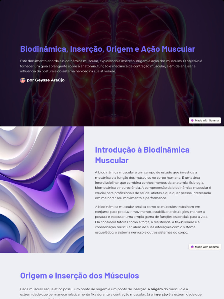 Músculo Occipitofrontal: Origem, Inserção, Ação – MSZT