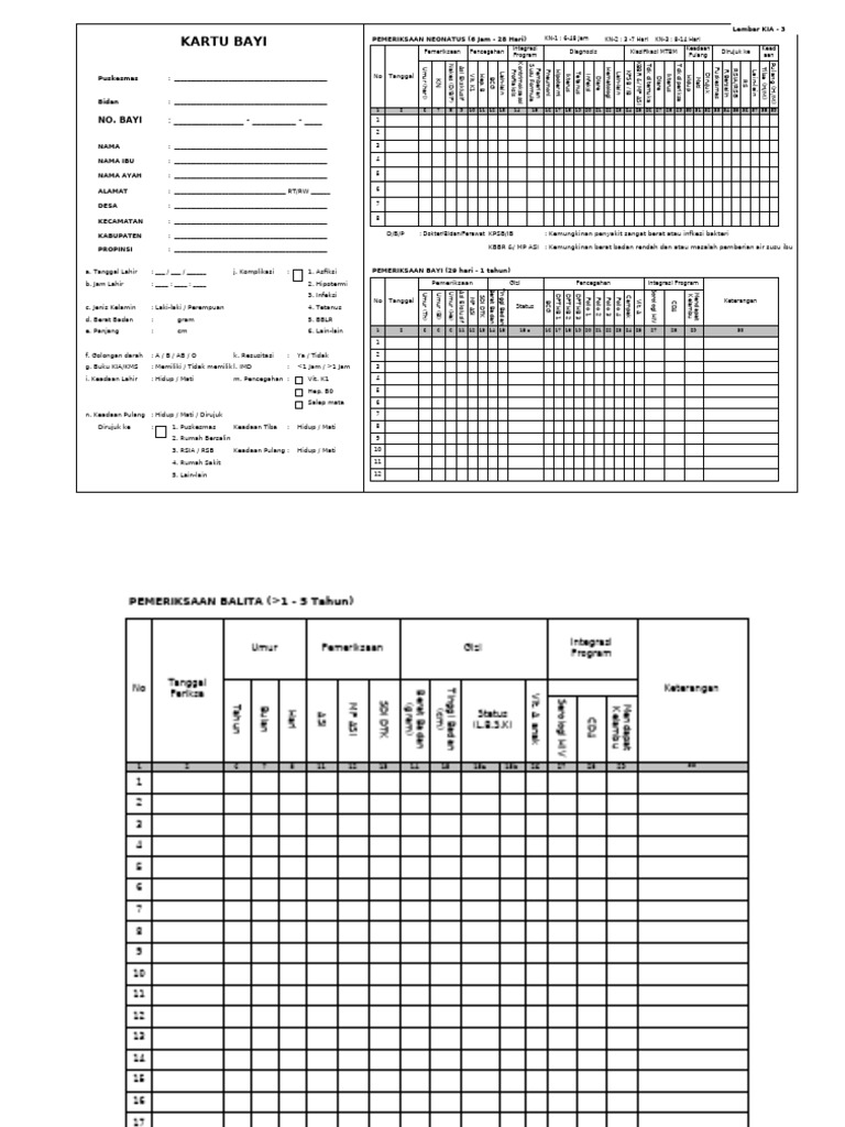 Format Kohort Bayi Dan Anak Balita | PDF