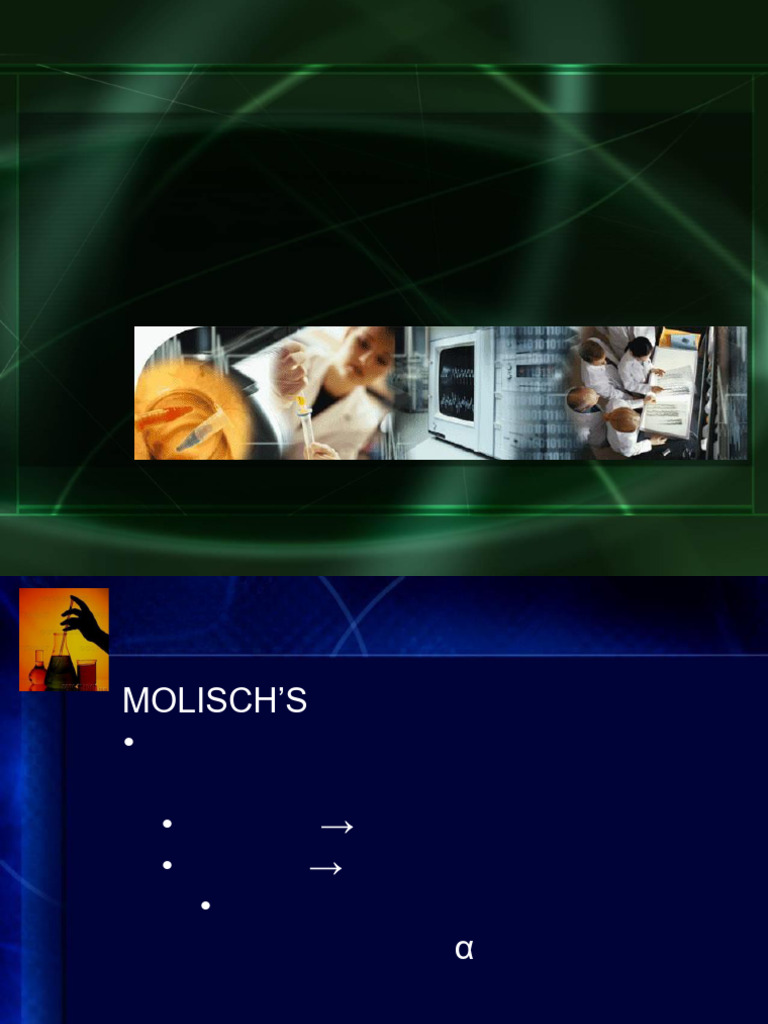 Mc1a Post Lab Expt2 Carbohydrates | PDF | Glucose | Starch