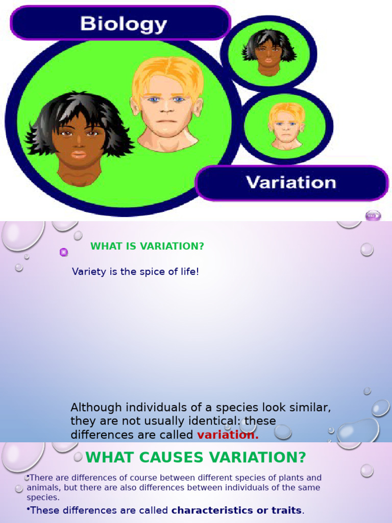 Lesson 24-Genetics and Variation | PDF | Dominance (Genetics) | Allele