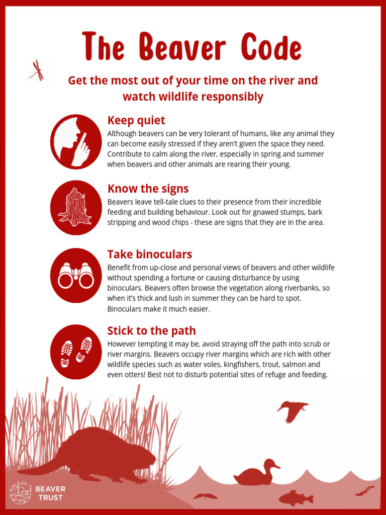 River Etiquette for Wildlife Watchers | PDF