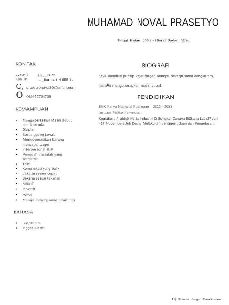 CV - Muhamad Noval Prasetyo-1 | PDF