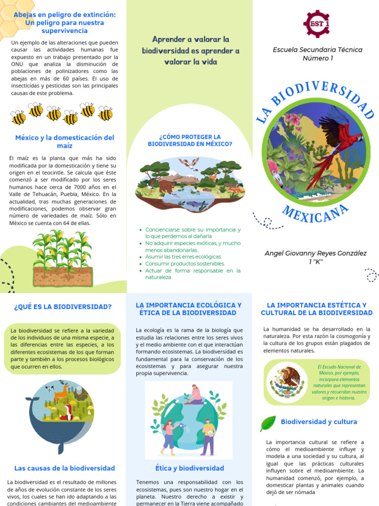 TRIPTICO GIO 2 | PDF | Biodiversidad | Entorno natural