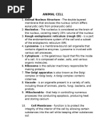 Animal Cell Structure Diagram | PDF