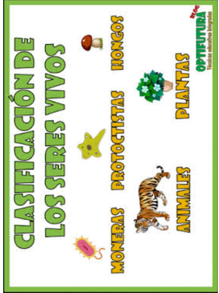 Clasificación Animales Imagen | PDF