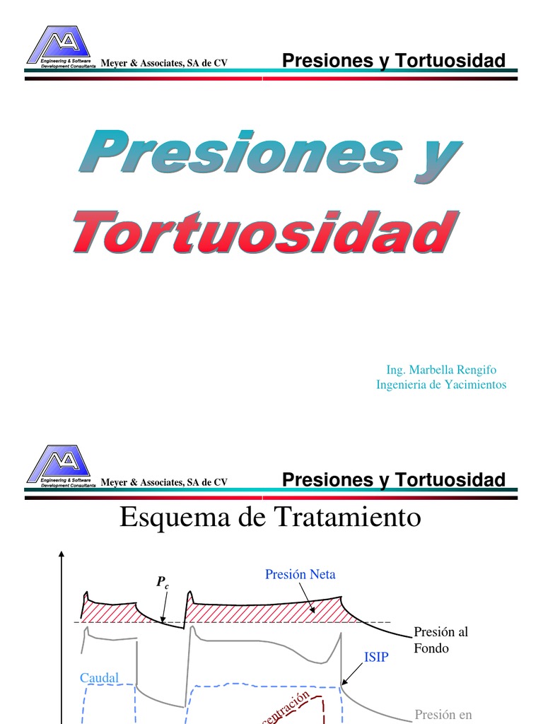 Presiones y Tortuosidad | PDF | Presión | Materiales
