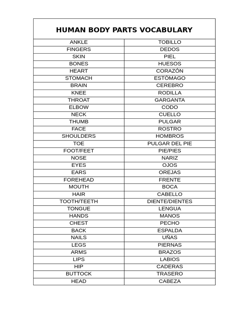 Vocabulario de Partes del Cuerpo | PDF
