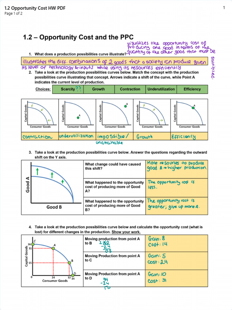 1.2 Opportunity Cost Journal | PDF