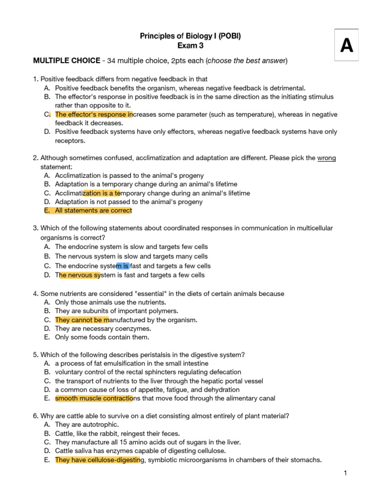 _POB Exam 3A (1) | PDF | Chemical Synapse | Action Potential