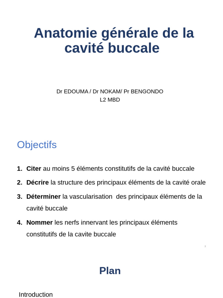 Anatomie de la cavité buccale | PDF | Dent humaine | Langue