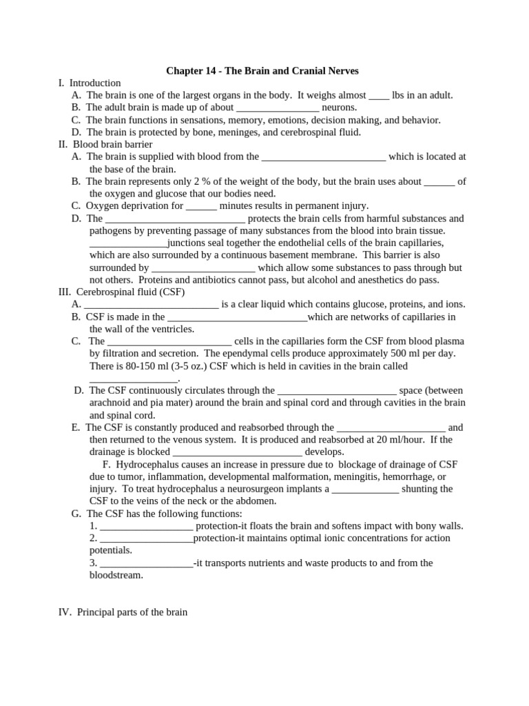 Ch. 14 Fill-in Notes (1) | PDF | Cerebrospinal Fluid | Brain