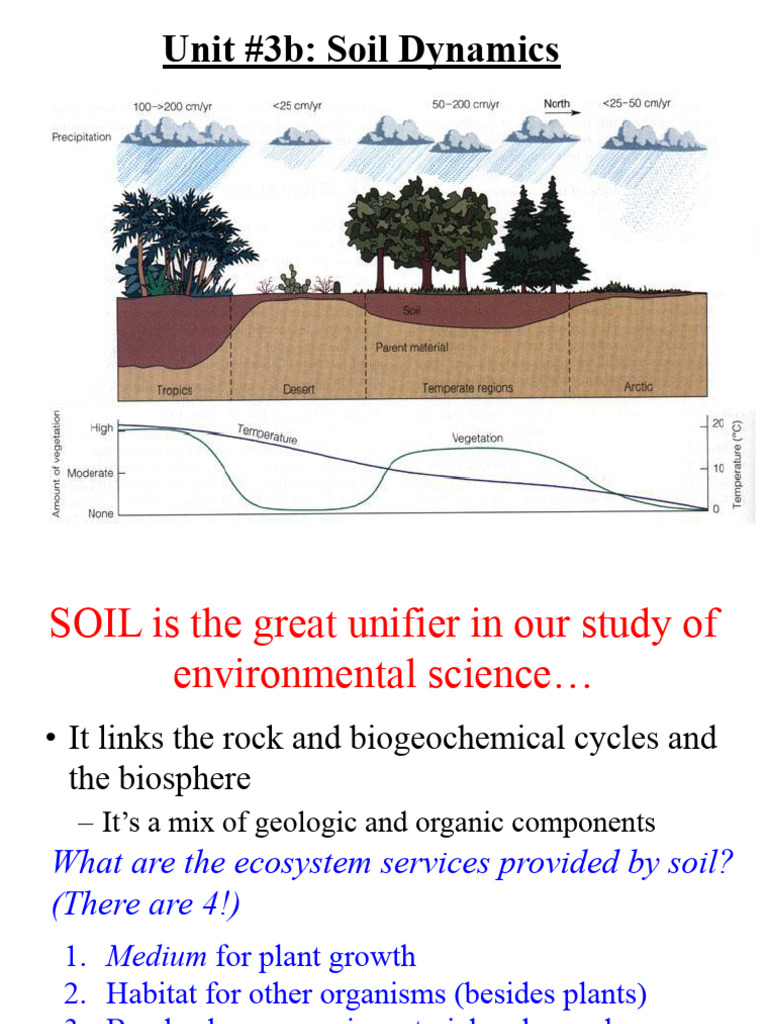 Rohan Yusaf - Guided Notes - Soil Dynamics (Formation, Composition ...