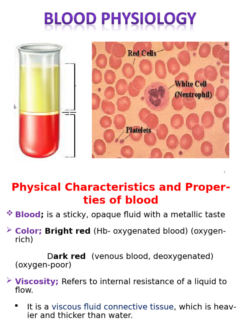 Blood: Properties, Functions, and Components | PDF | Blood Type | White ...