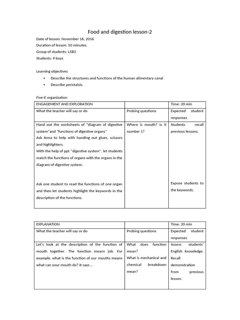 Human Digestive System Lesson Plan | PDF | Stomach | Human Digestive System