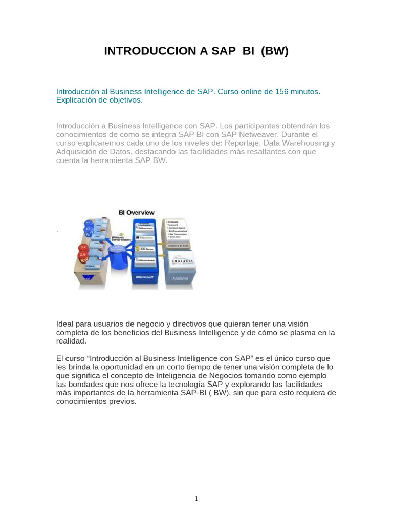 Curso SAP BI: Introducción y Beneficios | PDF | Inteligencia de ...