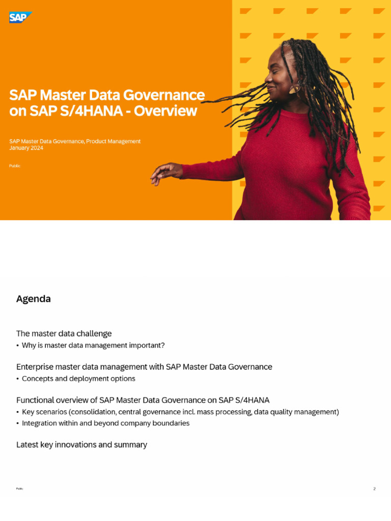 Sap MDG On Sap S4hana - Overview | PDF