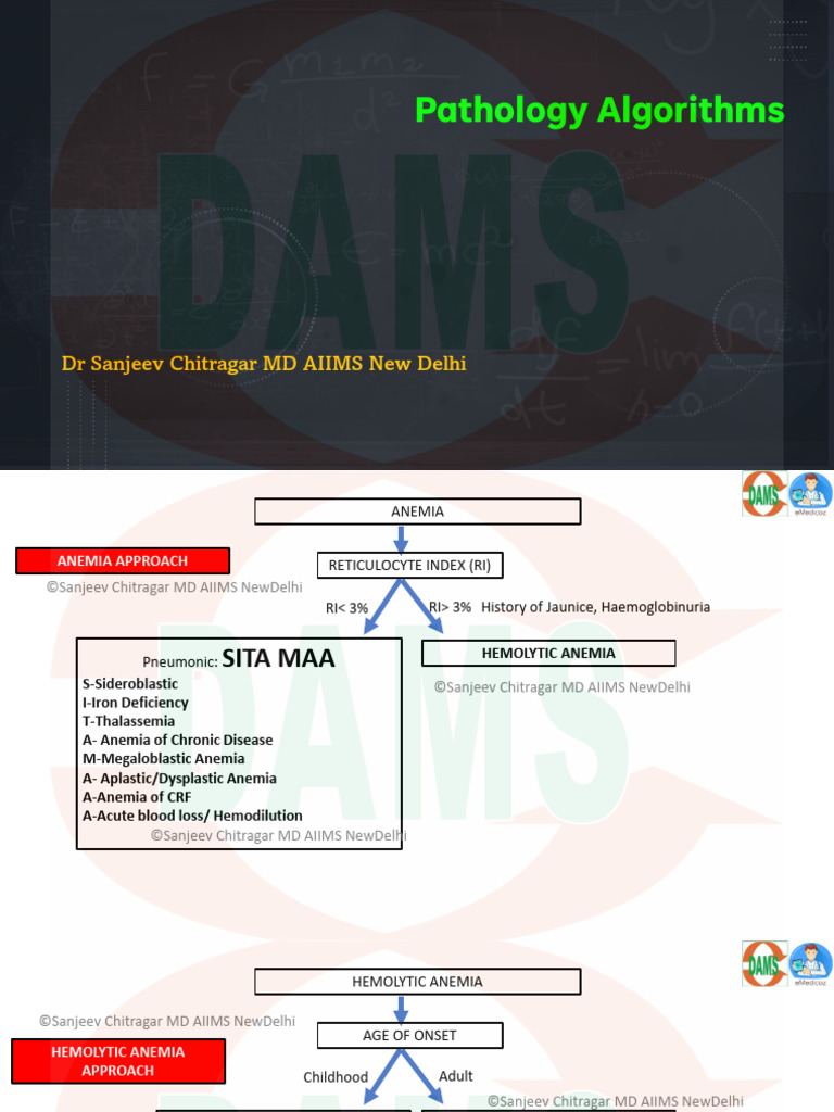 Pathology Algorithms: DR Sanjeev Chitragar MD AIIMS New Delhi | PDF ...