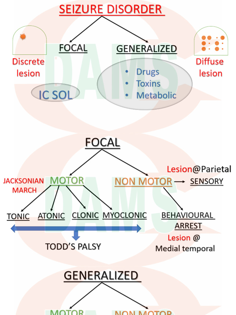 Focal Generalized: Discrete Lesion Diffuse Lesion | PDF | Diabetes ...