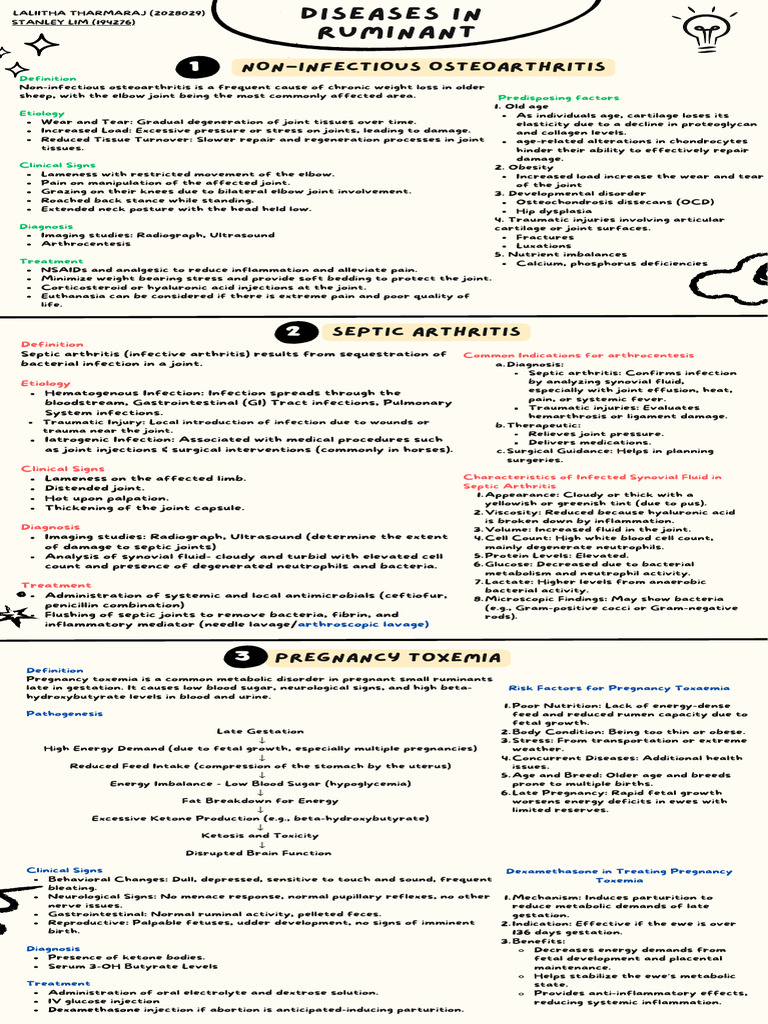 Common Diseases in Ruminant | PDF | Osteoarthritis | Diseases And Disorders
