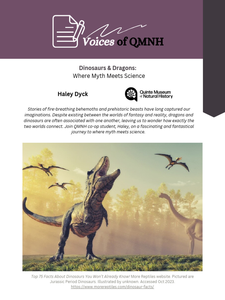 Dinosaurs Dragons 2023 QMNH Voices | PDF | Dragon | Dinosaurs