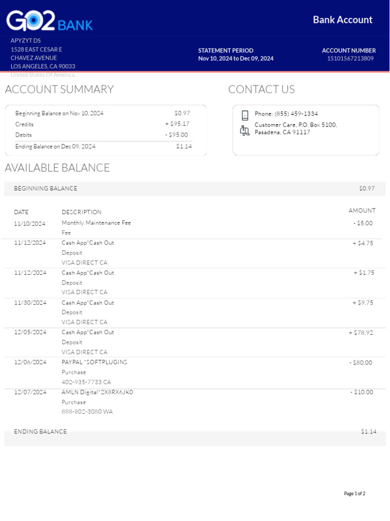 Go2-Statements 15101567213809 | PDF | Visa Inc. | Cash