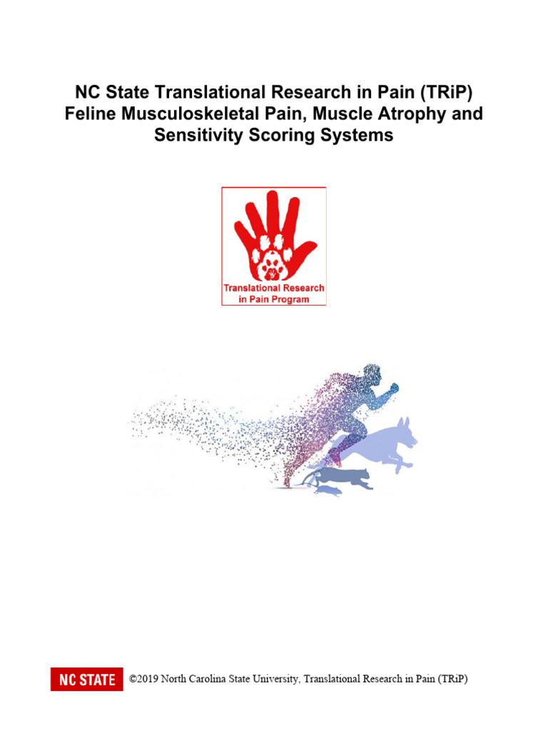 Feline Sens Muscle Joint Assessment | PDF | Musculoskeletal System ...